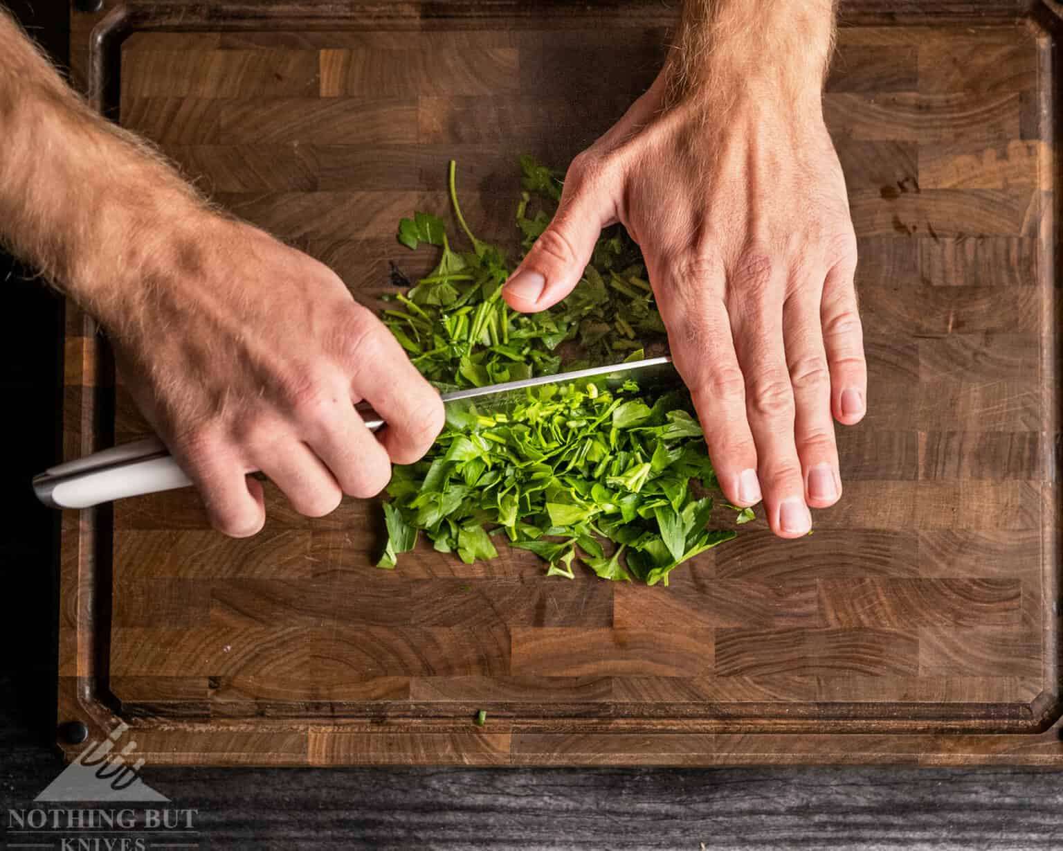 Cangshan Thomas Keller Chef's Knife Review | Nothing But Knives